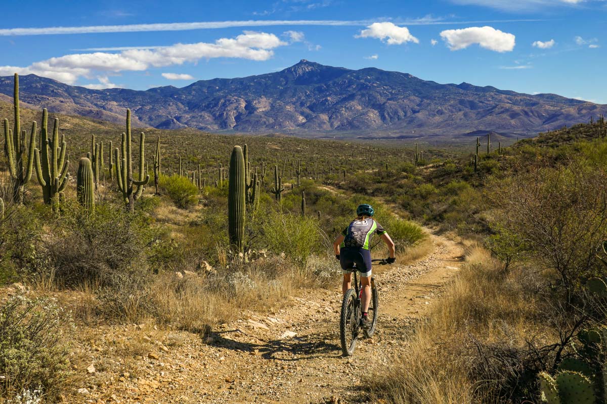 Warm Winters - Beer Bikes and Campfires .com