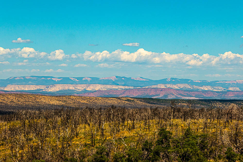 Arizona Trail Kaibab Plateau North - Beer Bikes and Campfires .com