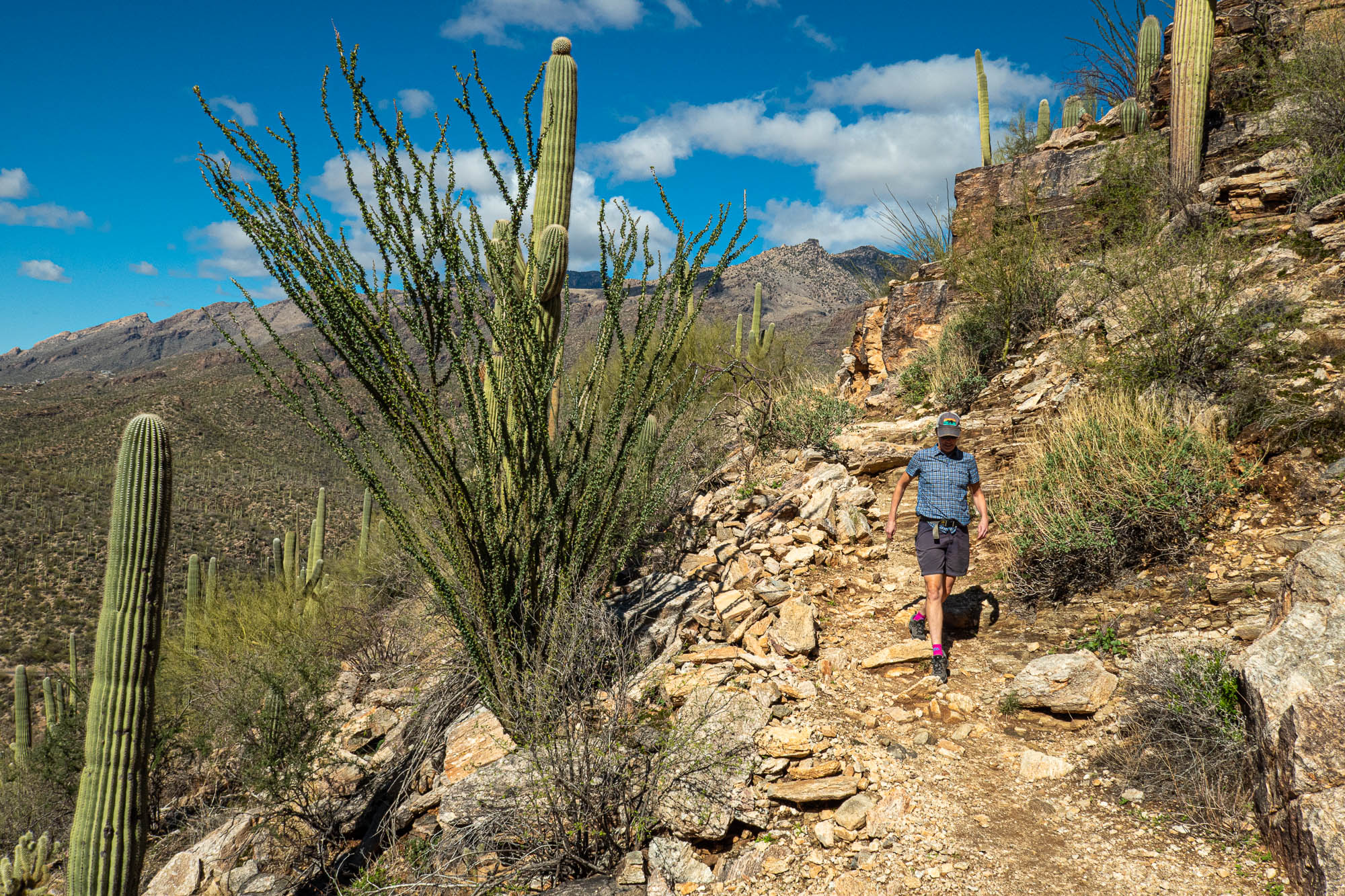 Sabino Canyon Hike - Beer Bikes and Campfires .com