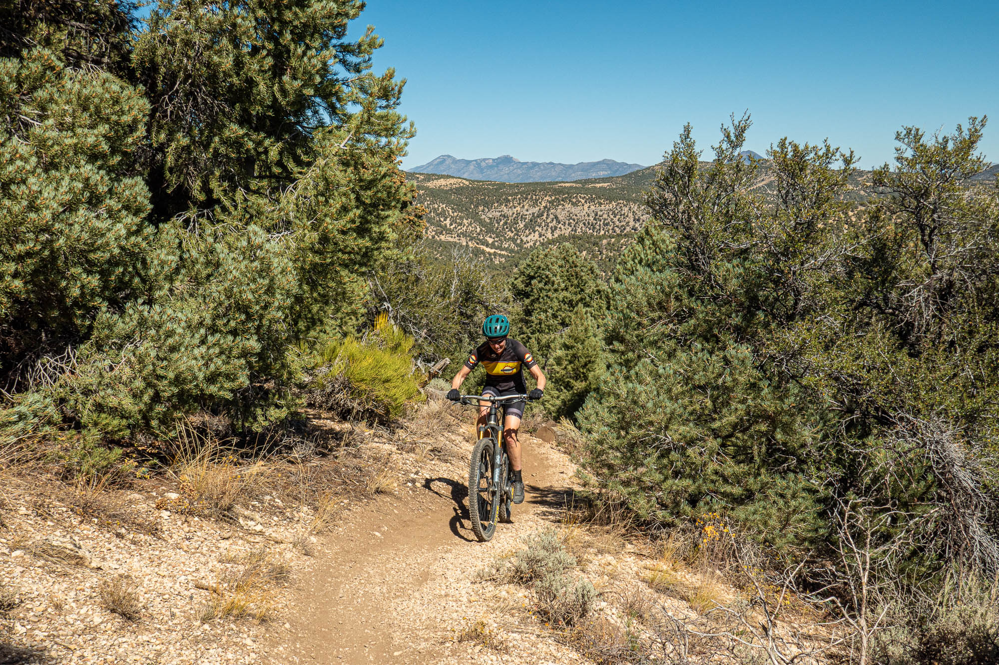 Ward Mountain Trails - Beer Bikes and Campfires .com